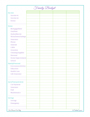 Family Budget - Scattered Squirrel