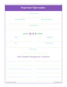 {Day 21} Important Information Section Printables - Scattered Squirrel