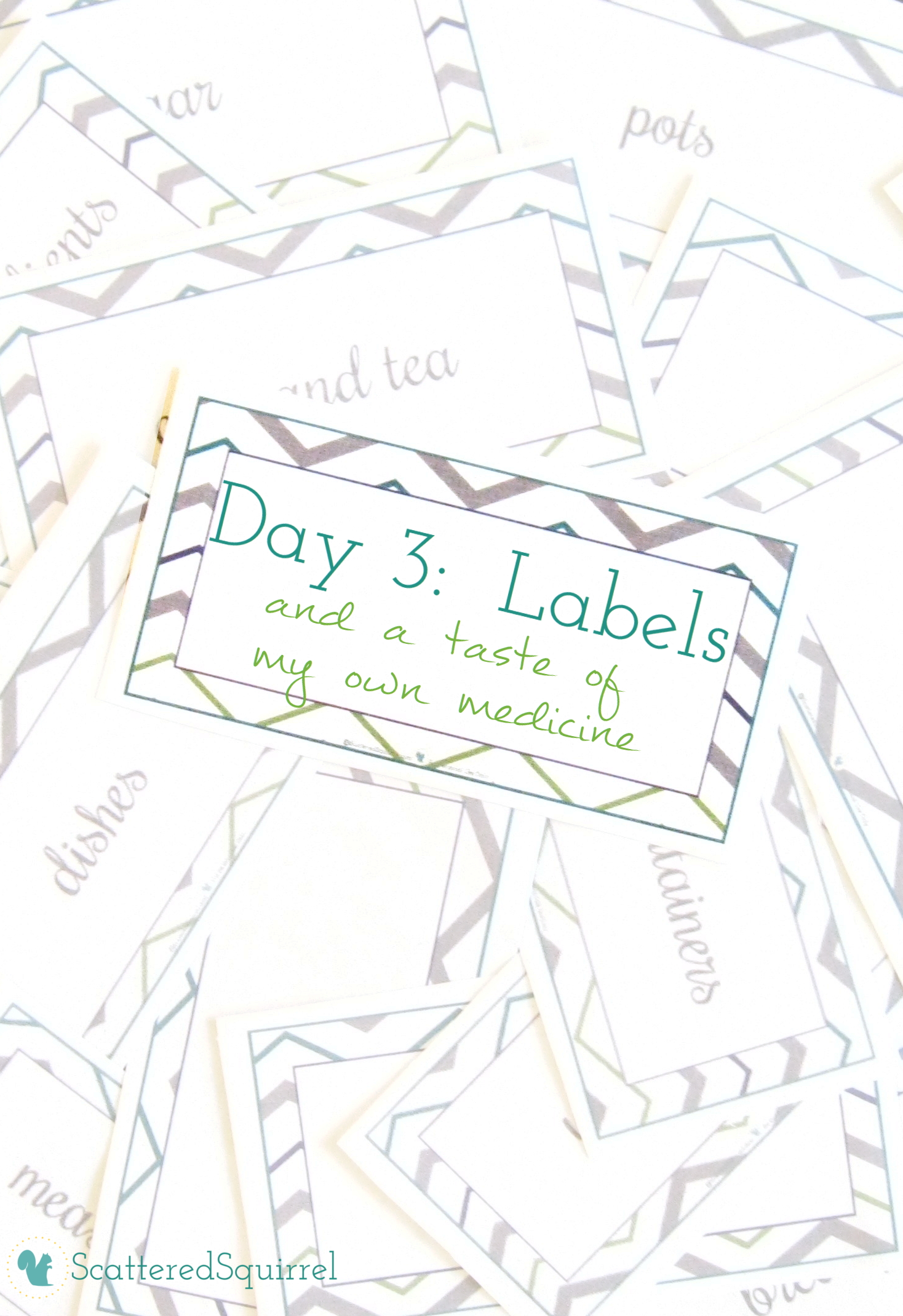 Day 3: Labels - Scattered Squirrel