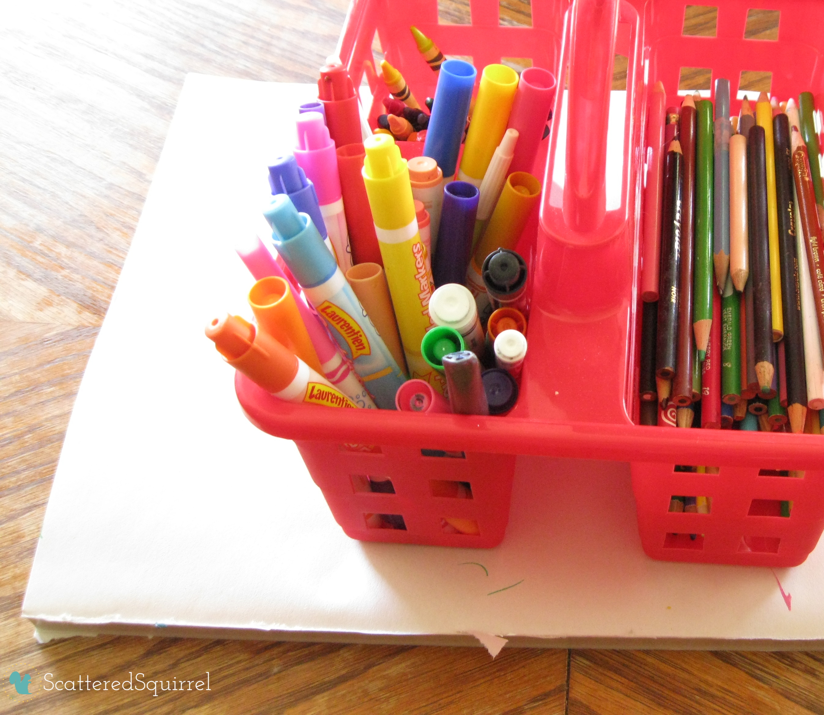 Colouring Caddy - Scattered Squirrel