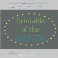 Family Schedules - June's Printable of the Month - Scattered Squirrel