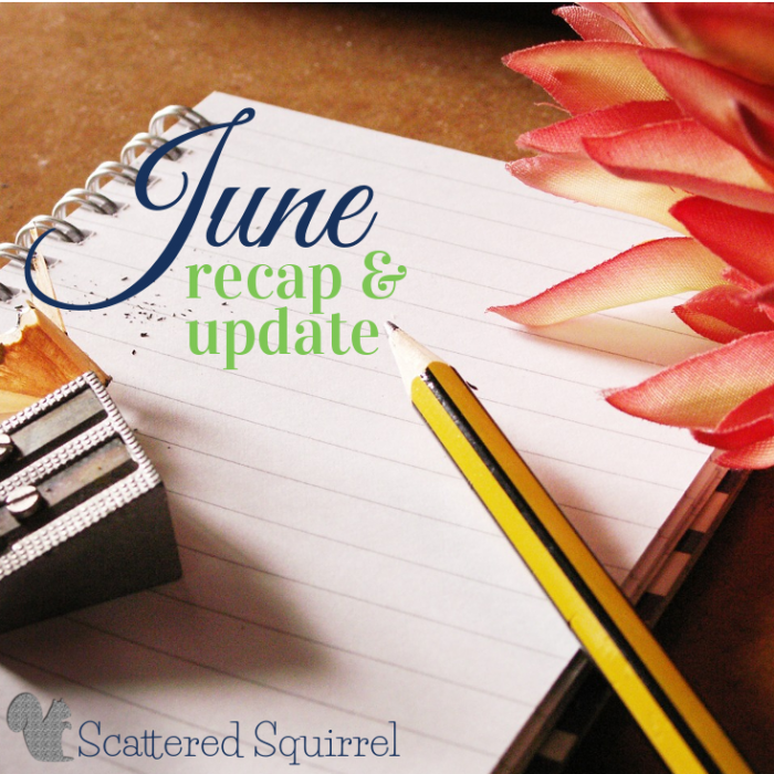 June Recap and Update - Scattered Squirrel