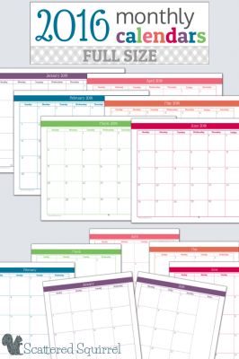 2016 Monthly Calendars - Full Size - Scattered Squirrel