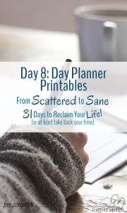 From Scattered to Sane - Scattered Squirrel