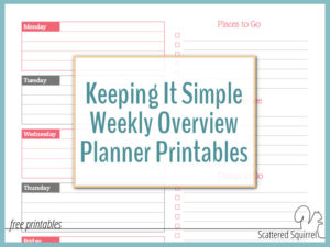 Keep It Simple with a Weekly Overview Planner
