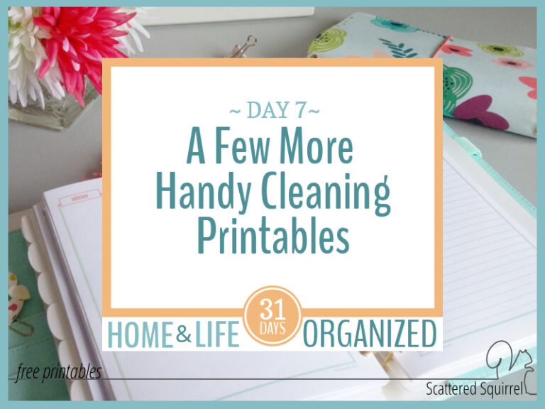A Few Handy Cleaning Printables to Have on Hand