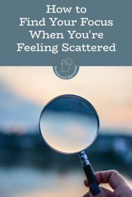 How to Find Your Focus When You're Feeling Scattered - Scattered Squirrel