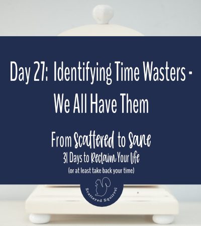 Scattered Squirrel - Blog