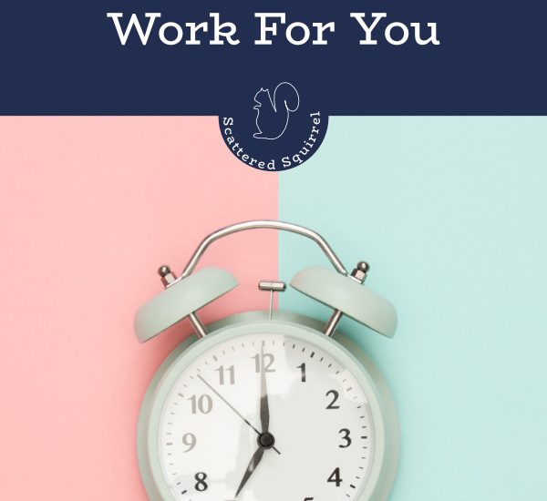 Scattered Squirrel - Blog