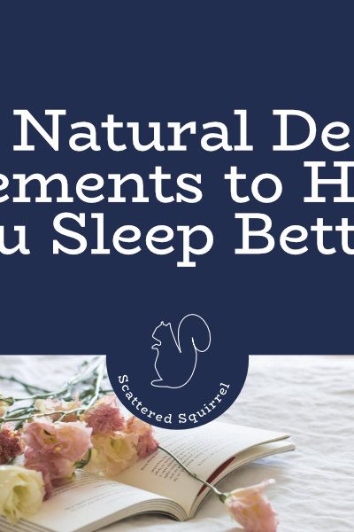 Scattered Squirrel - Blog