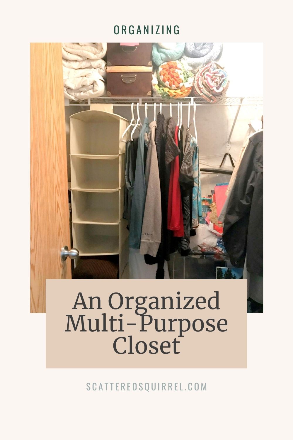 Home - Scattered Squirrel