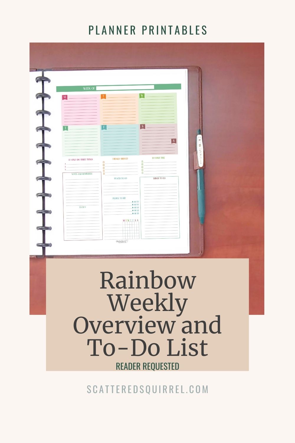 Home - Scattered Squirrel