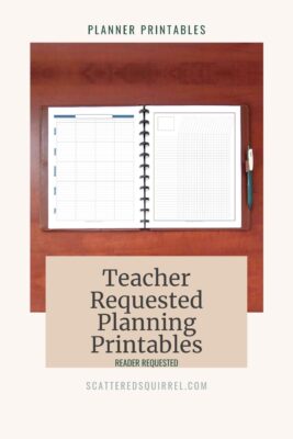 Home - Scattered Squirrel