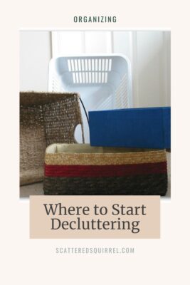 Home - Scattered Squirrel