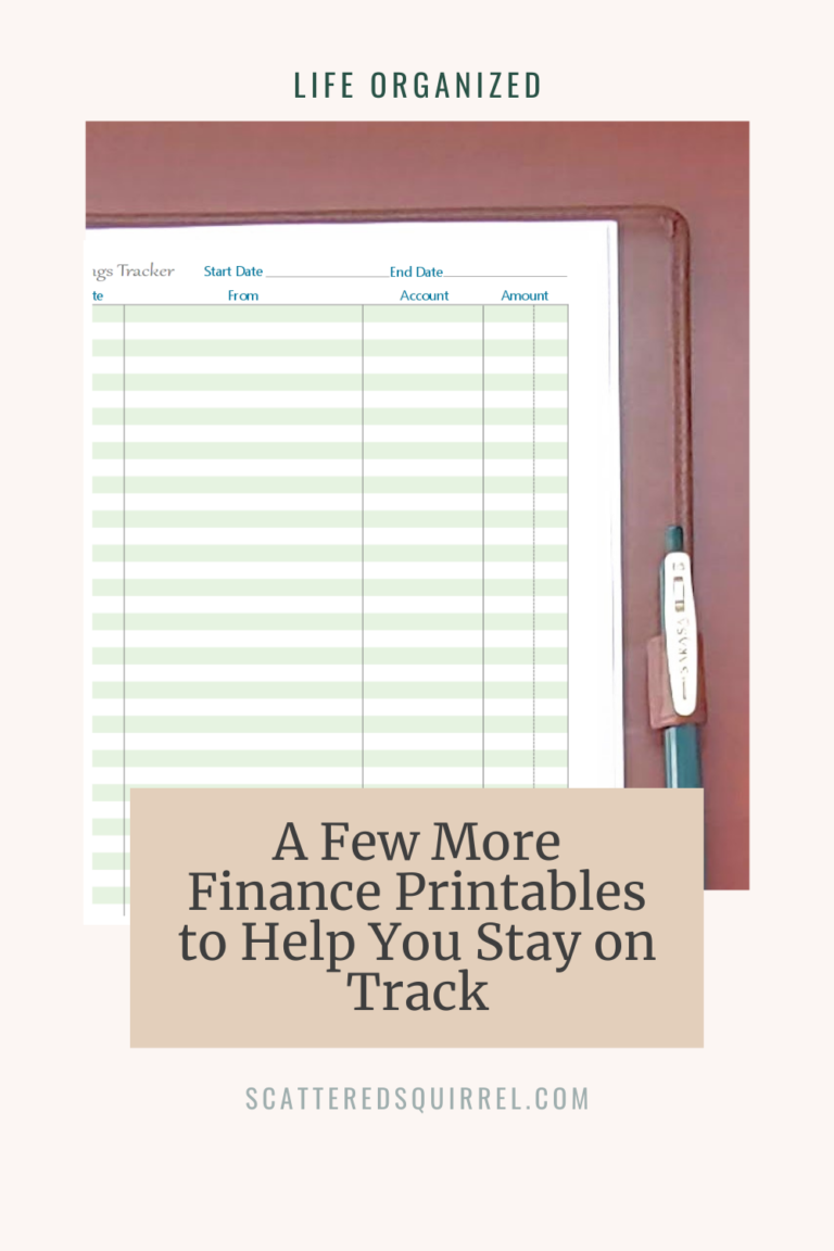 A Few More Finance Printables to Help You Stay on Track - Scattered ...