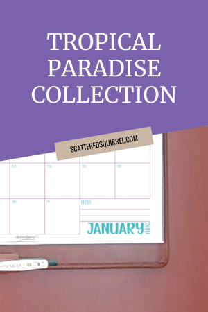 Tropical Paradise Collection - Scattered Squirrel